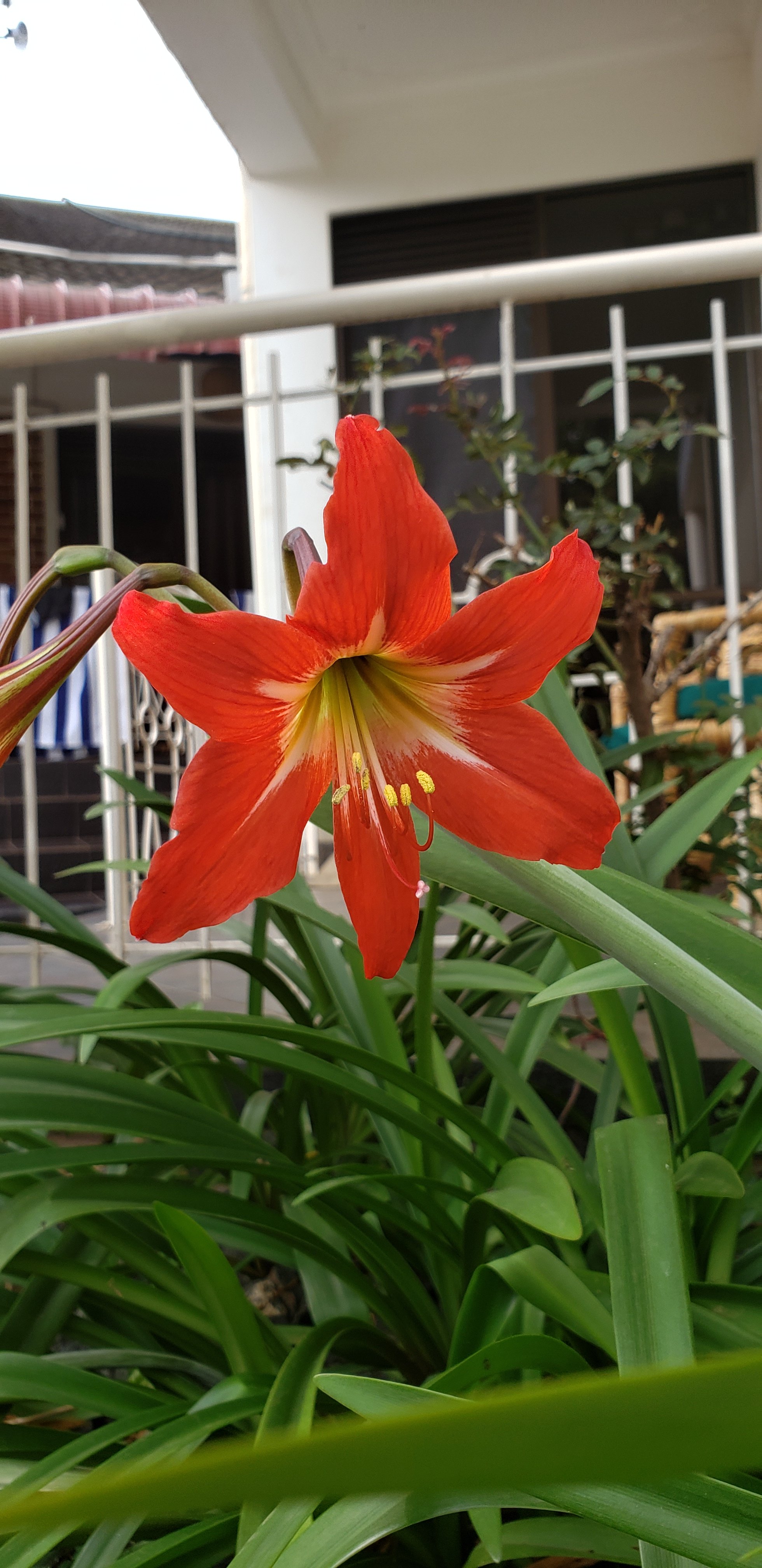 Family time in Entebbe – A Travelling Accountant